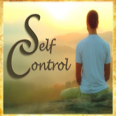 Self Control | PDF