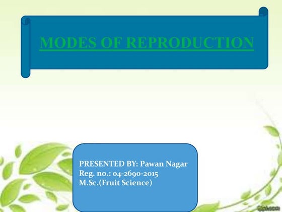 Hybridization Techniques in Crop Improvement | PPT