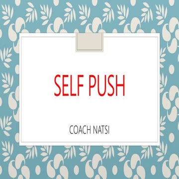 Self push | PPT