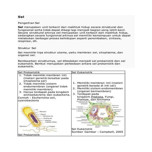 Sel hand out modul | DOCX