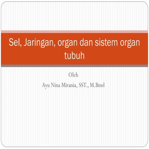 ANATOMI FISIOLOGI SISTEM MUSKULOSKELETAL | PPTX