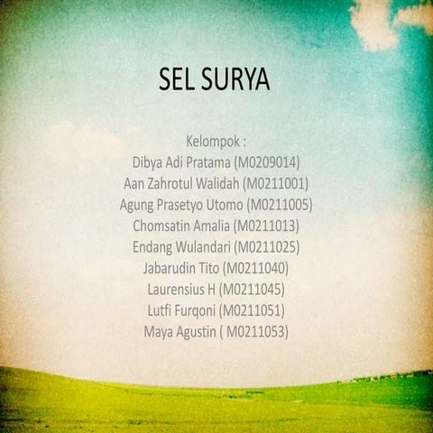 Sel surya | PPTX