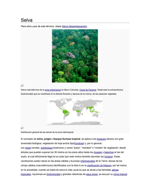 La selva tropical | PPT