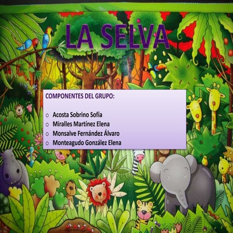 Selva | PPTX