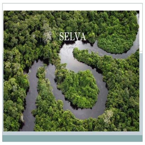 Selva (5) | PPTX