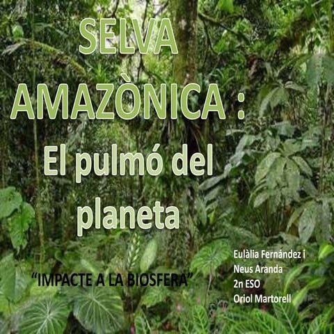 Selva amazònica | PPTX