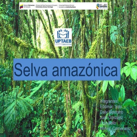 Proyecto La selva amazónica | PPT