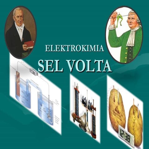 Sel Volta | PPT
