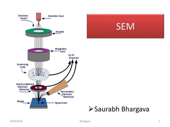 Scanning Electron Microscope- Energy - Dispersive X -Ray Microanalysis ...