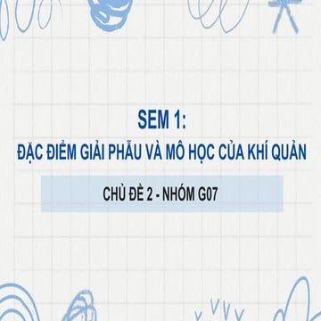SEM1.S2.6.G07.YK2.pdf aaaaaaaaaaaaaaaaaaa | PPT