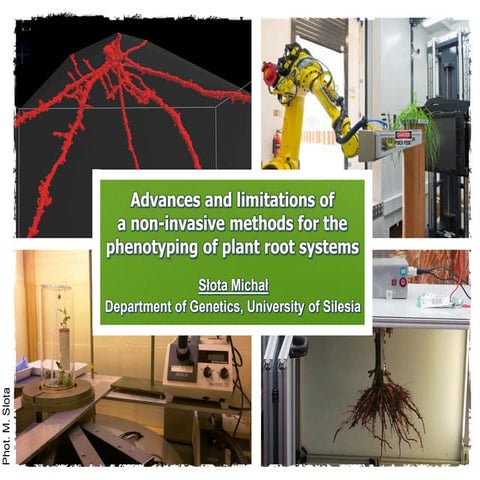 Phenotyping of plant root systems | PDF