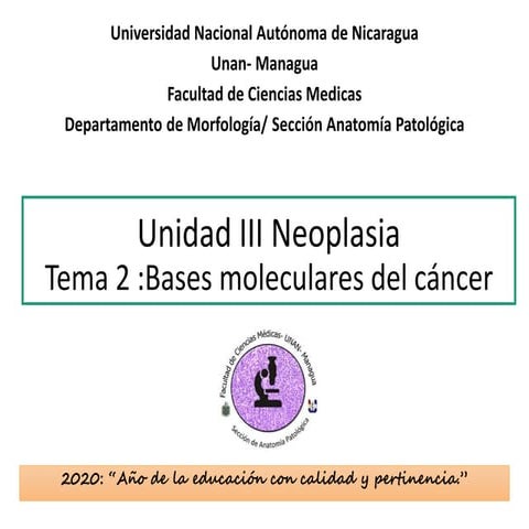 Sem 4 Neoplasia 2_II sem 2020.ppsx