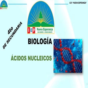 Unidad 7 Ácidos Nucleicos | ODP