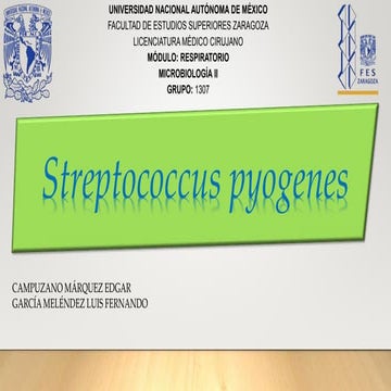 Streptococcus pyogenes | PPTX