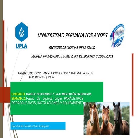 Razas de Caballos y sus características principales.pdf