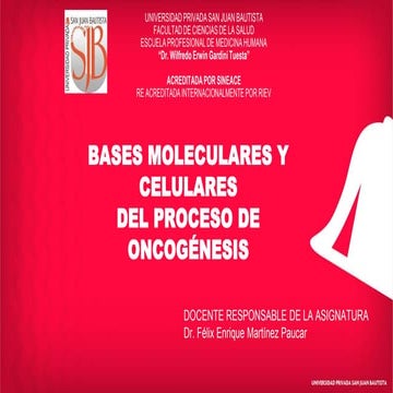 SEMANA 2 - BASES MOLECULARES Y CELULARES DEL PROCESO DE ONCOGENESIS.pdf