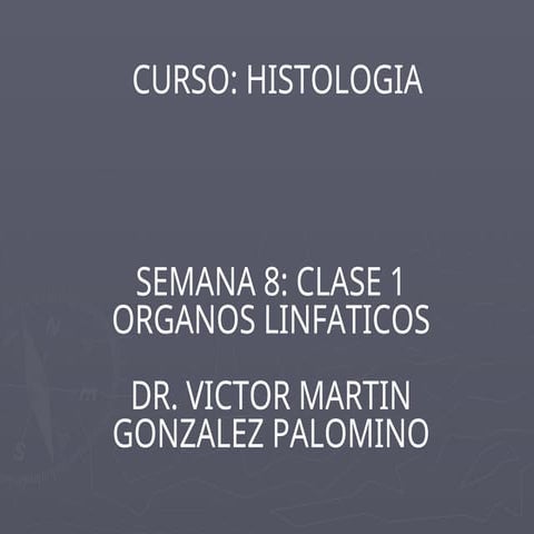 SEMANA 8 CLASE 1 TEJIDO LINFOIDE. trabajo de ppt | PPT