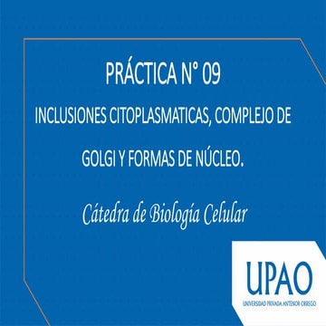 Semana 9 Inclusiones Citoplasmáticas y Formas de Núcleo.pdf