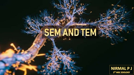 transmission Electron Microscopy (Tem) | PPT