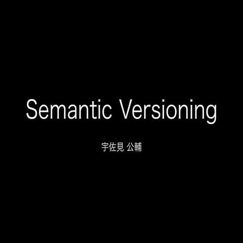 Semantic Versioning | PDF