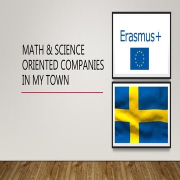 SE_MathScience oriented companies | PPTX