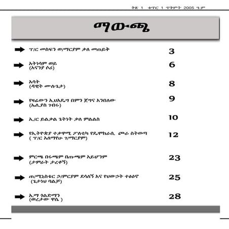 Semayawi1/Newly formed political party the blue (Semayawi) founder ...