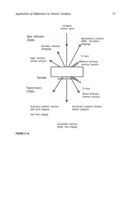 EDAX -Energy Dispersive X-ray analysis | PPT