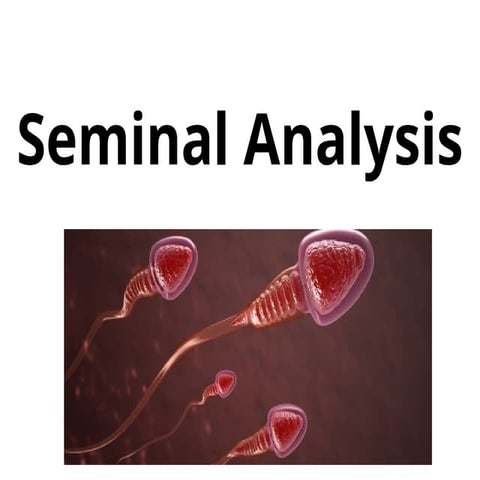 Seminal analysis in the laboratory. .ppt