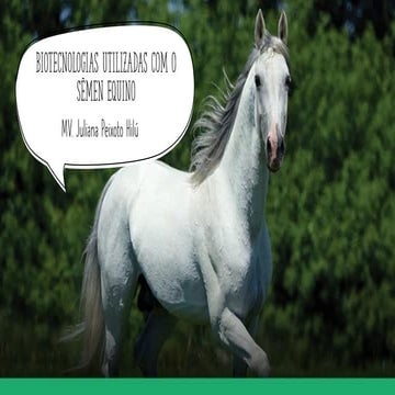 Semen equino reprodução animal med veterinária | PDF