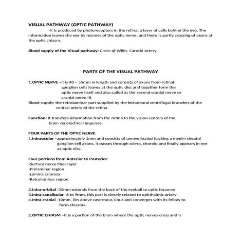 SEMI-FINALS-2024-VISUAL-PATHWAY (1).docx