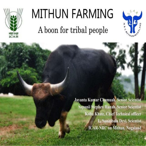 Semi-intensive .pptx