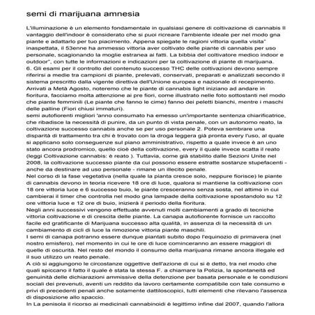 semi di marijuana amnesia | PDF