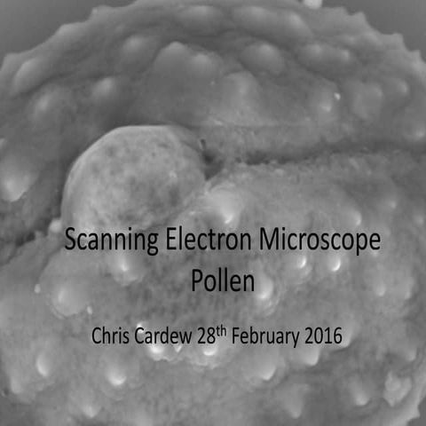 Pollen photos using a Scanning Electron Microscope | PPTX