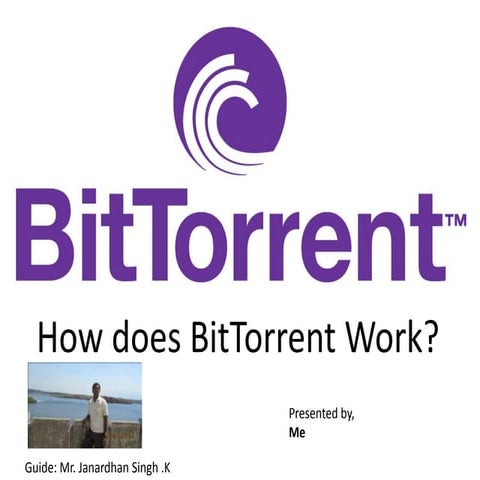 Introduction to BitTorrent Bundle | PDF