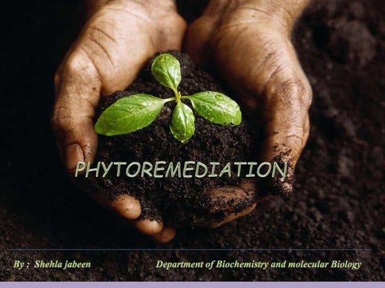 Phytoremediation.ppt