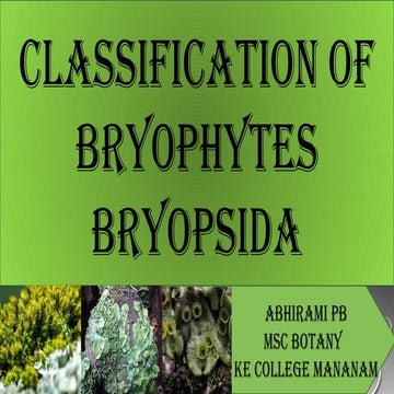 Bryophytes | PPTX