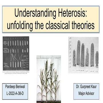 Heterosis breeding and inbreeding depression.pdf