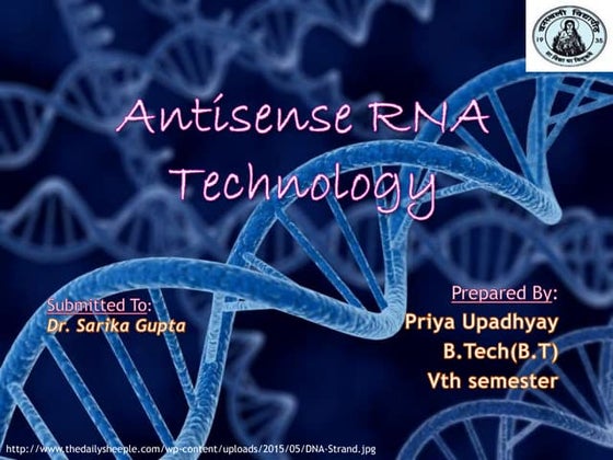 RNA interference (RNAi) in plants | PPTX | Gardening | Home & Garden
