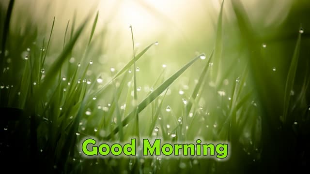 SLOB Technique | PPTX