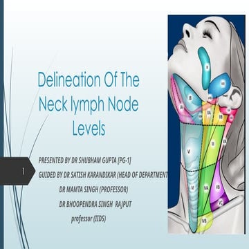 Seminar 1 Delineation of the neck node levels for head.pptx