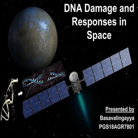DNA Damage and Responses in Space | PPT