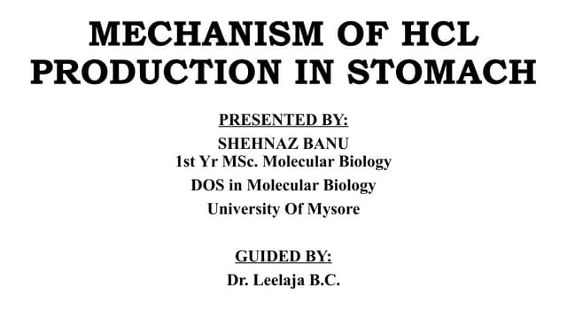 Presentation on the mechanism of HCl production in the stomach | PPTX