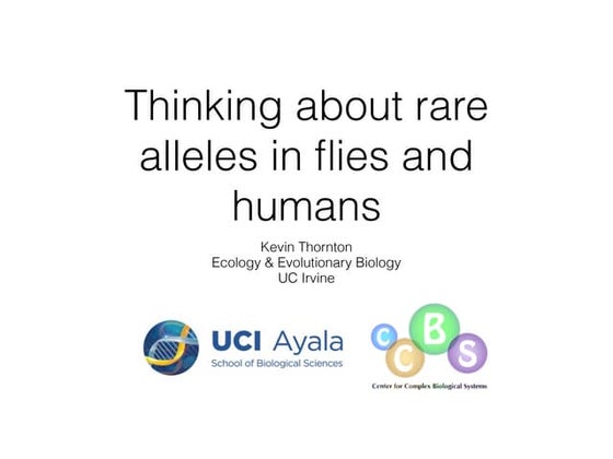 Mobistealth pro version | PPT