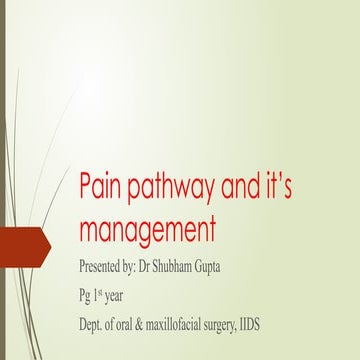 PAIN AND PAIN PATHWAYS | PPTX