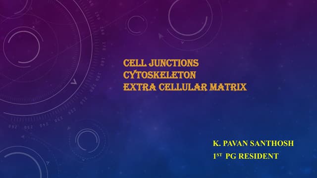 Lesson 4 Cell Modifications | PDF