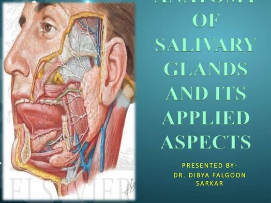 Anatomy of Submandibular Gland | PPT