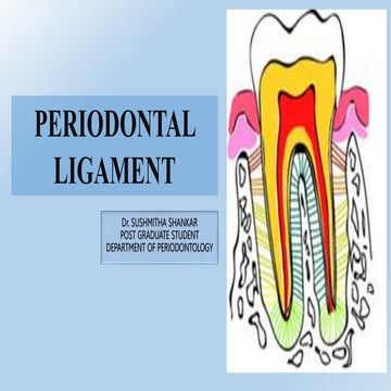 PERIODONTAL LIGAMENT | PPTX