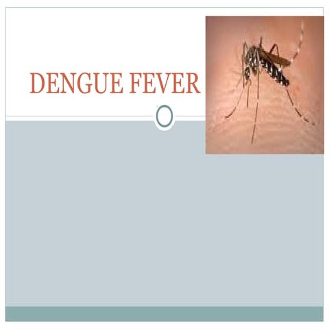 Dengue fever | PPT