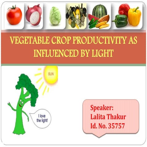 vegetable crop productivity as influenced by light | PPTX