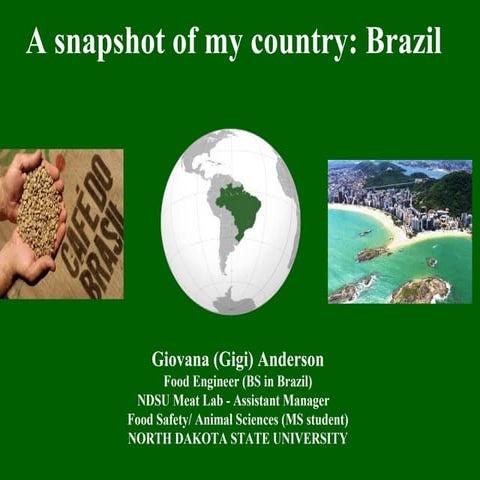Seminar brazil | PPT